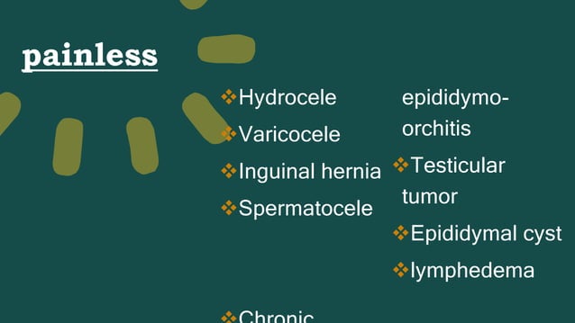 Painless scrotal swellings | PPT