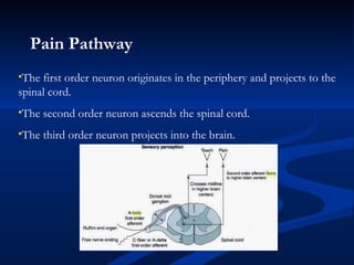 Pain management | PPT