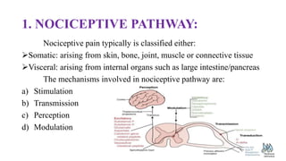 Pain pathways & Pain management for Pharm.D | PPTX