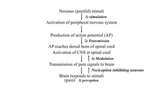Pain pathways & Pain management for Pharm.D | PPTX