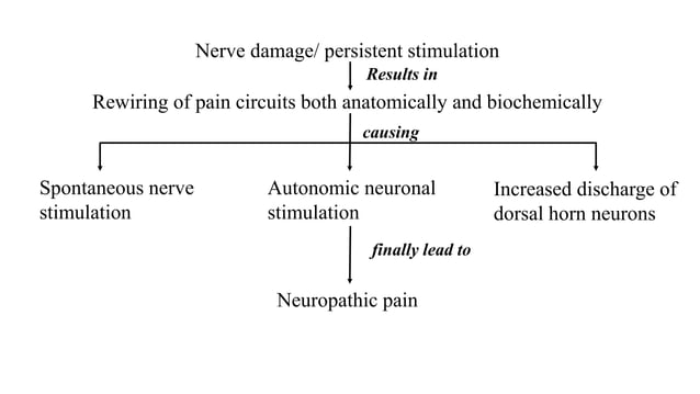 Pain pathways & Pain management for Pharm.D | PPTX