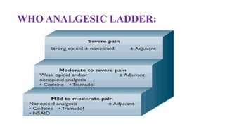 Pain pathways & Pain management for Pharm.D | PPTX