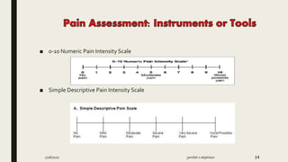 Pain management | PPTX