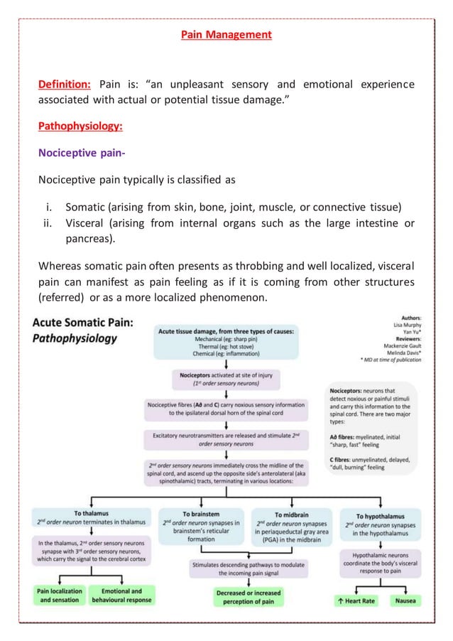 Pain management | PDF
