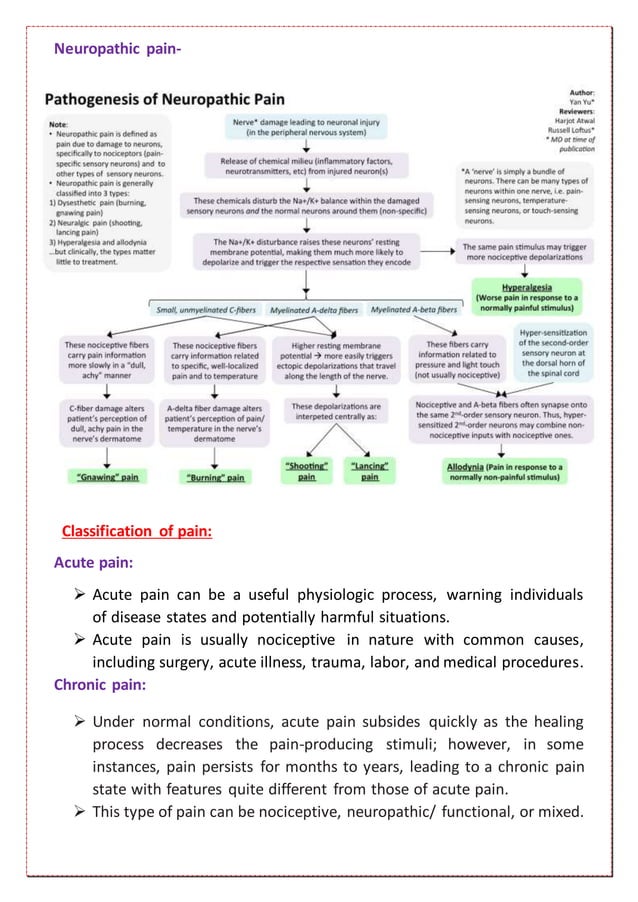 Pain management | PDF