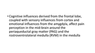 pain management.pptx