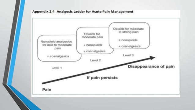 Pain Management.pptx
