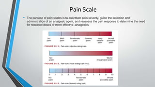 Pain Management.pptx