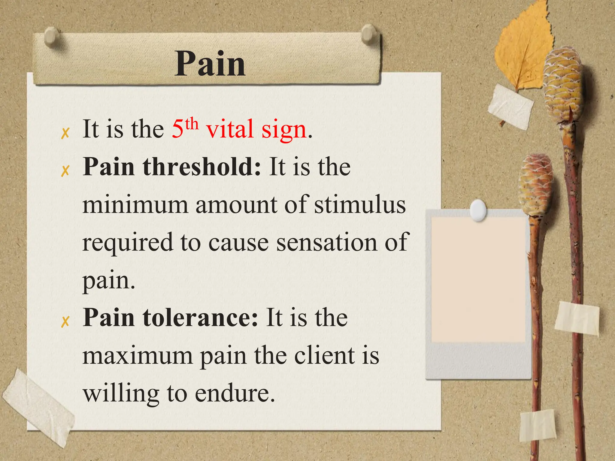 Pain Management: Physiology of Pain, Pain Management | PDF