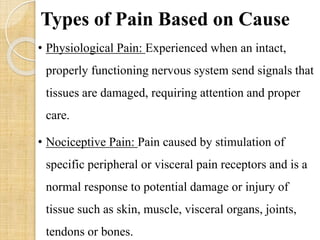 Pain Management: Physiology of Pain, Pain Management | PDF
