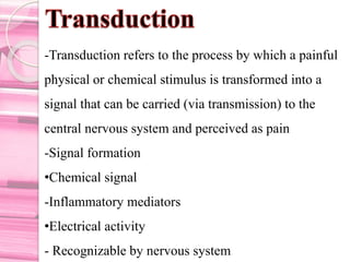 Pain Management: Physiology of Pain, Pain Management | PDF