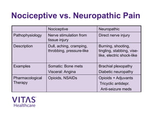 Pain management: An Interdisciplinary Approach | VITAS Healthcare | PPTX