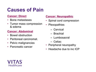 Pain management: An Interdisciplinary Approach | VITAS Healthcare | PPTX