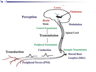 Pain management in children | PPTX