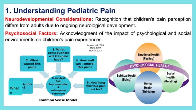 Advances in Paediatric Pain management.. | PPTX