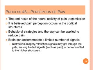 Pain management AmiR | PPTX