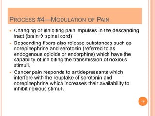 Pain management AmiR | PPTX