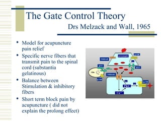Pain management by acupuncture | PPT