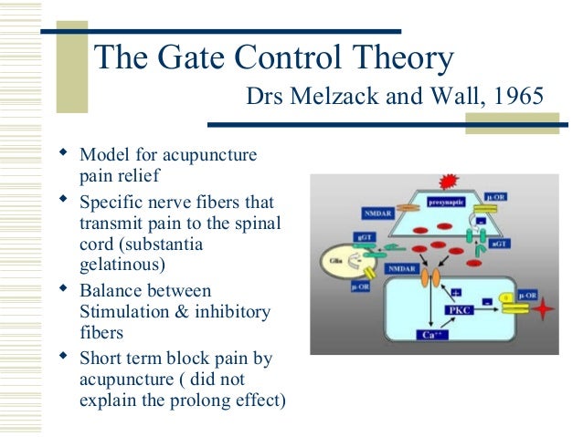Gate Control Mechanism Of Pain