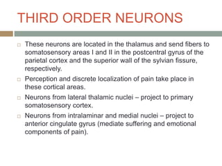 Pain management | PPTX