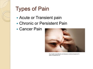Pain Management FINAL | PPTX