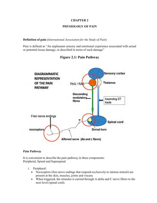 PainManagementHandbook KKM............pdf | First Aid | Injuries