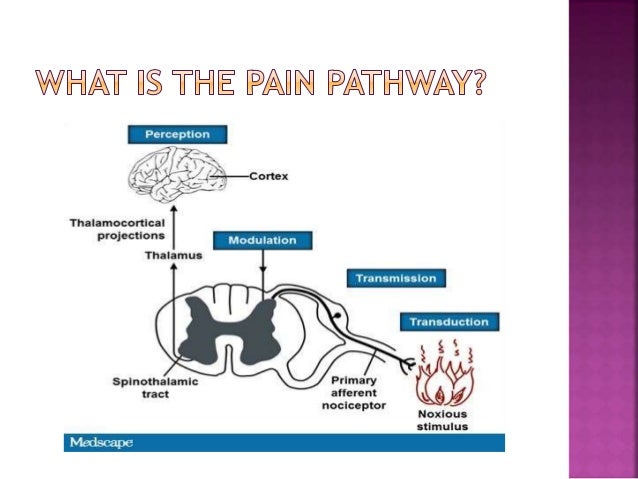 Pain management in neonates