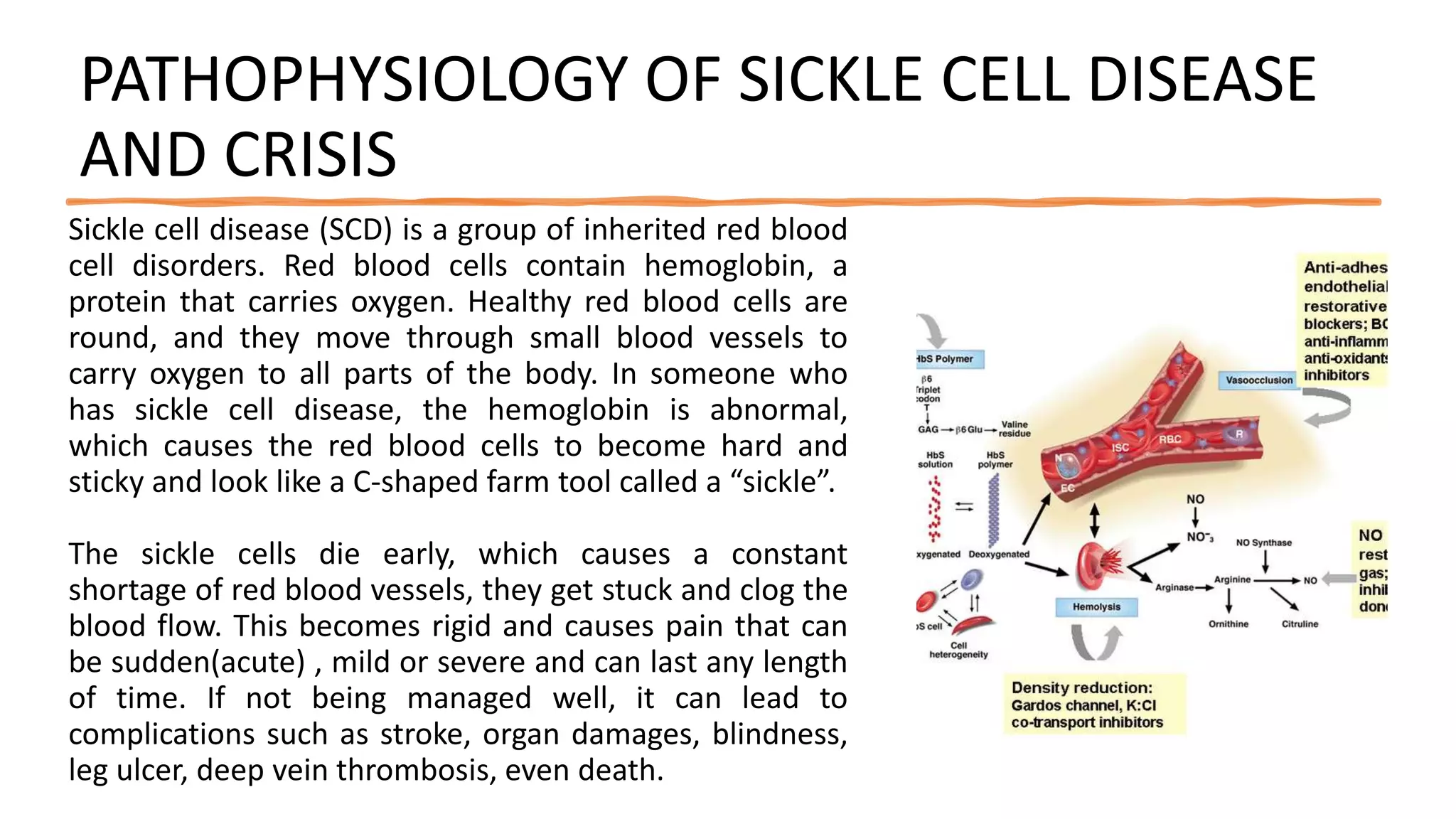 PAIN MANAGEMENT IN SICKLE CELL DISEASE AND CRISIS.pptx