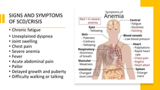 PAIN MANAGEMENT IN SICKLE CELL DISEASE AND CRISIS.pptx