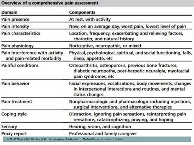 Pain Management in the Elderly | PPTX
