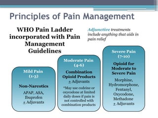 Basic Principles of Pharmacological Pain Management - A presentation by ...
