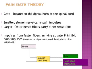 Pain managment with modalities 1 | PPT