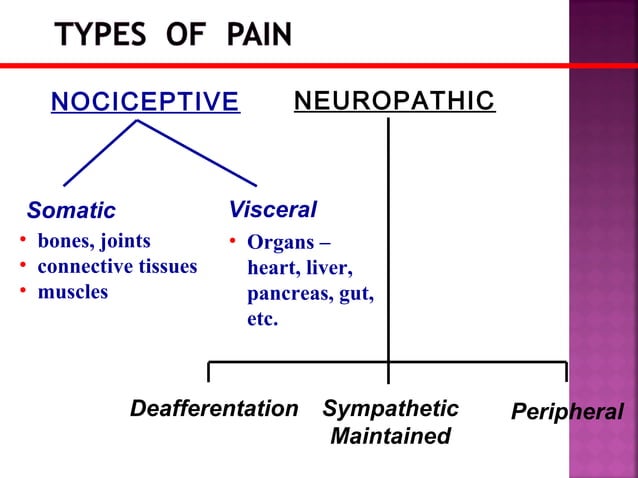Pain managment with modalities 1 | PPT | Brain and Nervous System ...