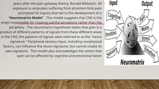pain mechanisms and assessment of pain .pptx