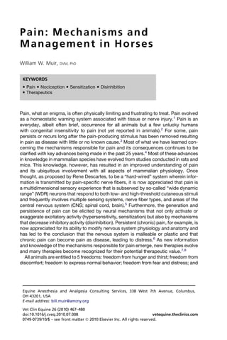 Pain mechanisms and management in the horse | PDF | Brain and Nervous ...