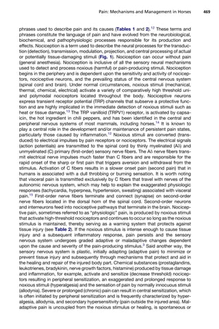 Pain mechanisms and management in the horse | PDF | Brain and Nervous ...