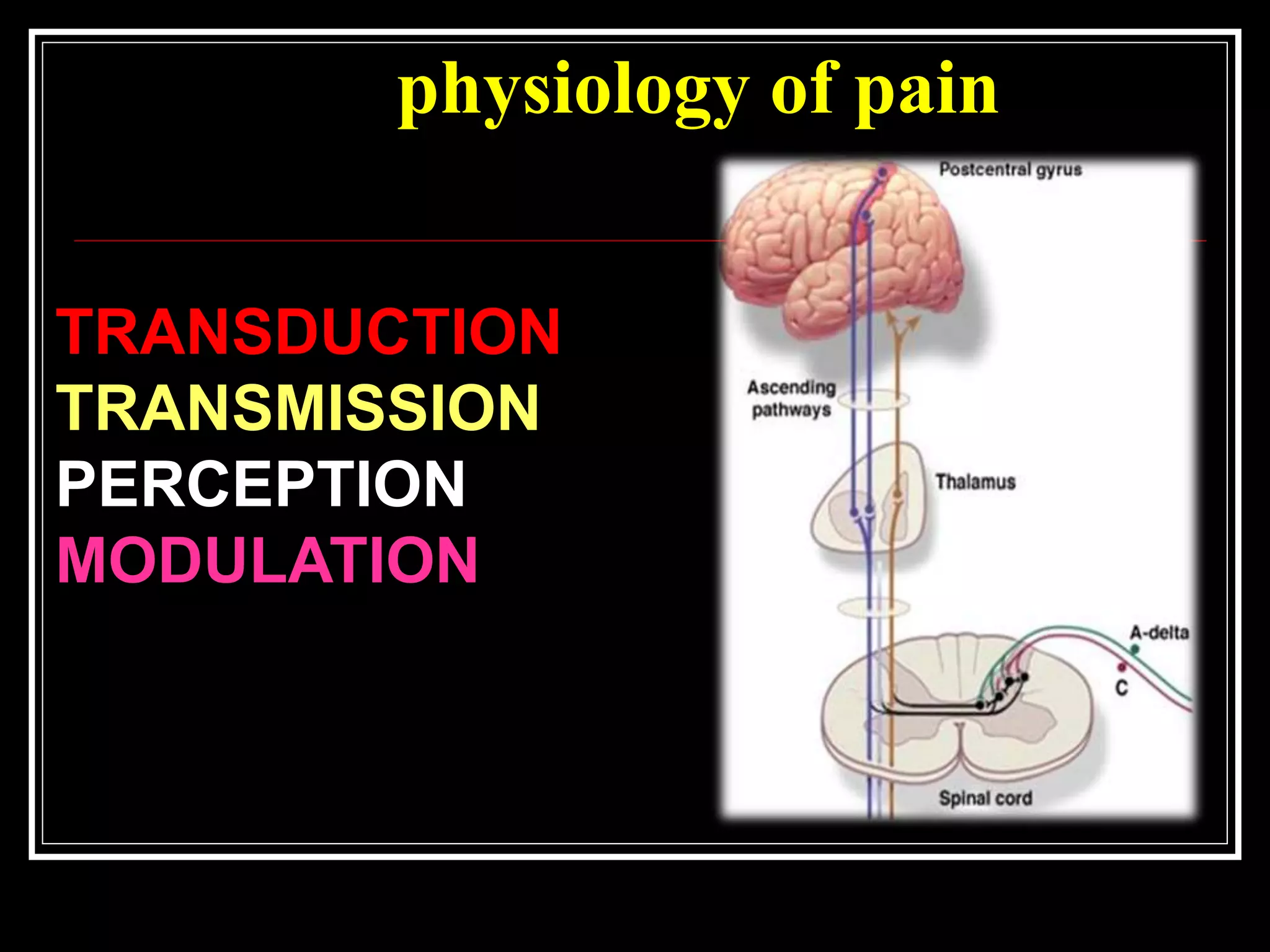 Pain management ppt | PPTX
