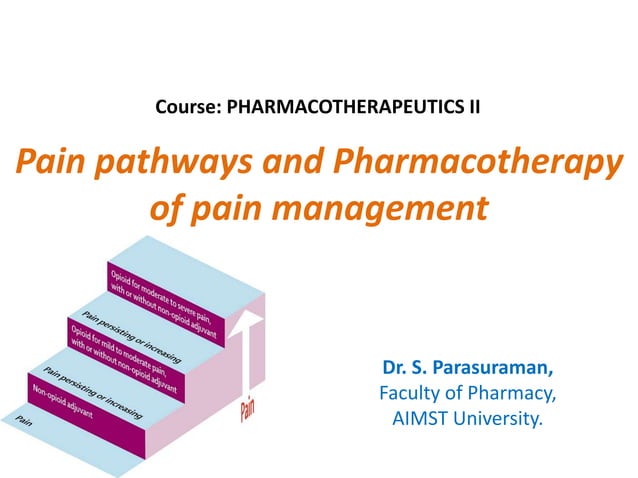 Introduction to Pain pathology | PPTX