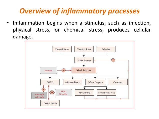 Introduction to Pain pathology | PPTX