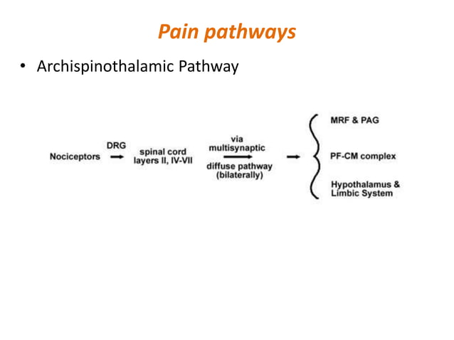 Introduction to Pain pathology | PPTX