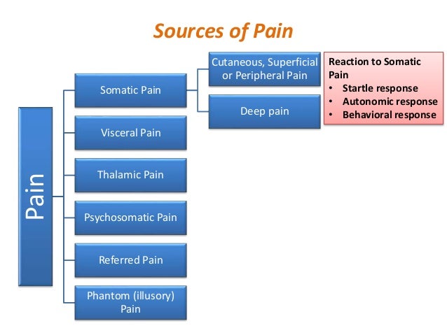 Introduction to Pain pathology
