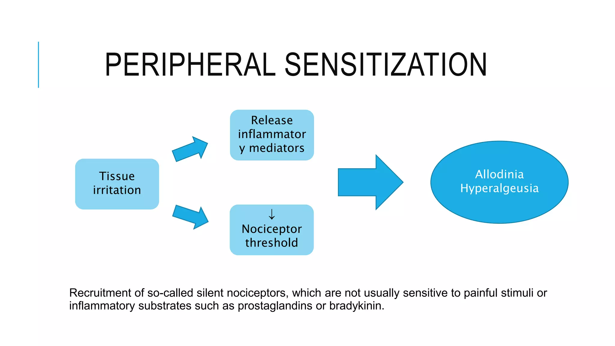 Pain Pathophysiology: Peripheral Sensitization | PPTX