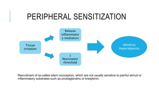 Pain Pathophysiology: Peripheral Sensitization | PPT
