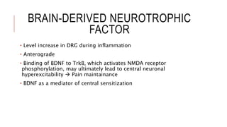 Pain Pathophysiology - The Role of Neurotrophic Interactions | PPT