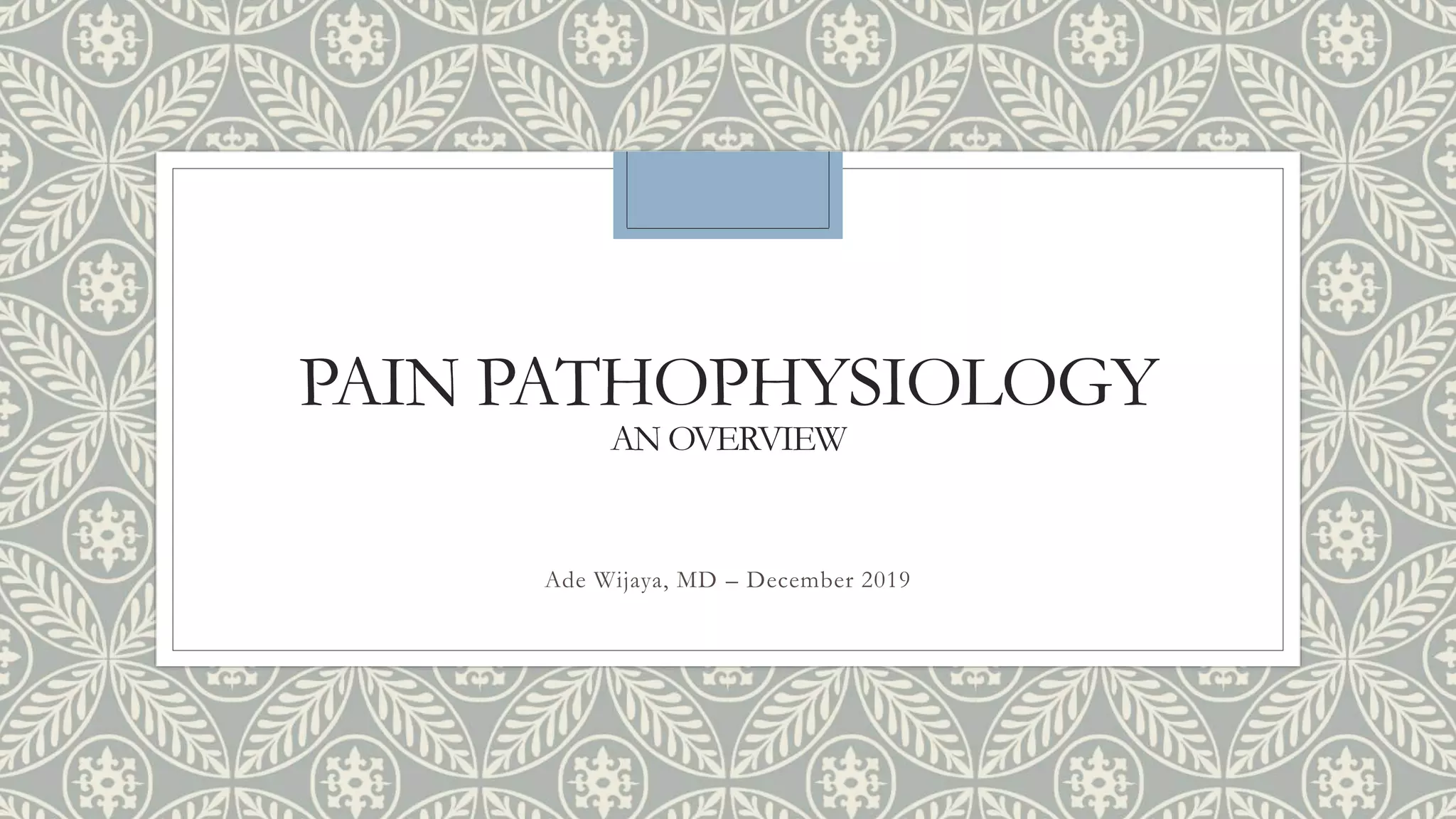 Pain Pathophysiology Overview | PPTX
