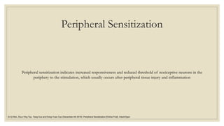 Pain Pathophysiology Overview | PPTX