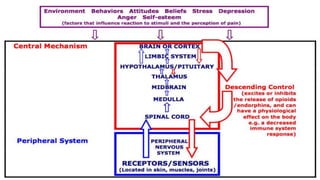Central Pain and Higher Neural Mechanism | PPTX