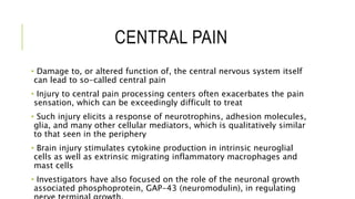 Central Pain and Higher Neural Mechanism | PPT