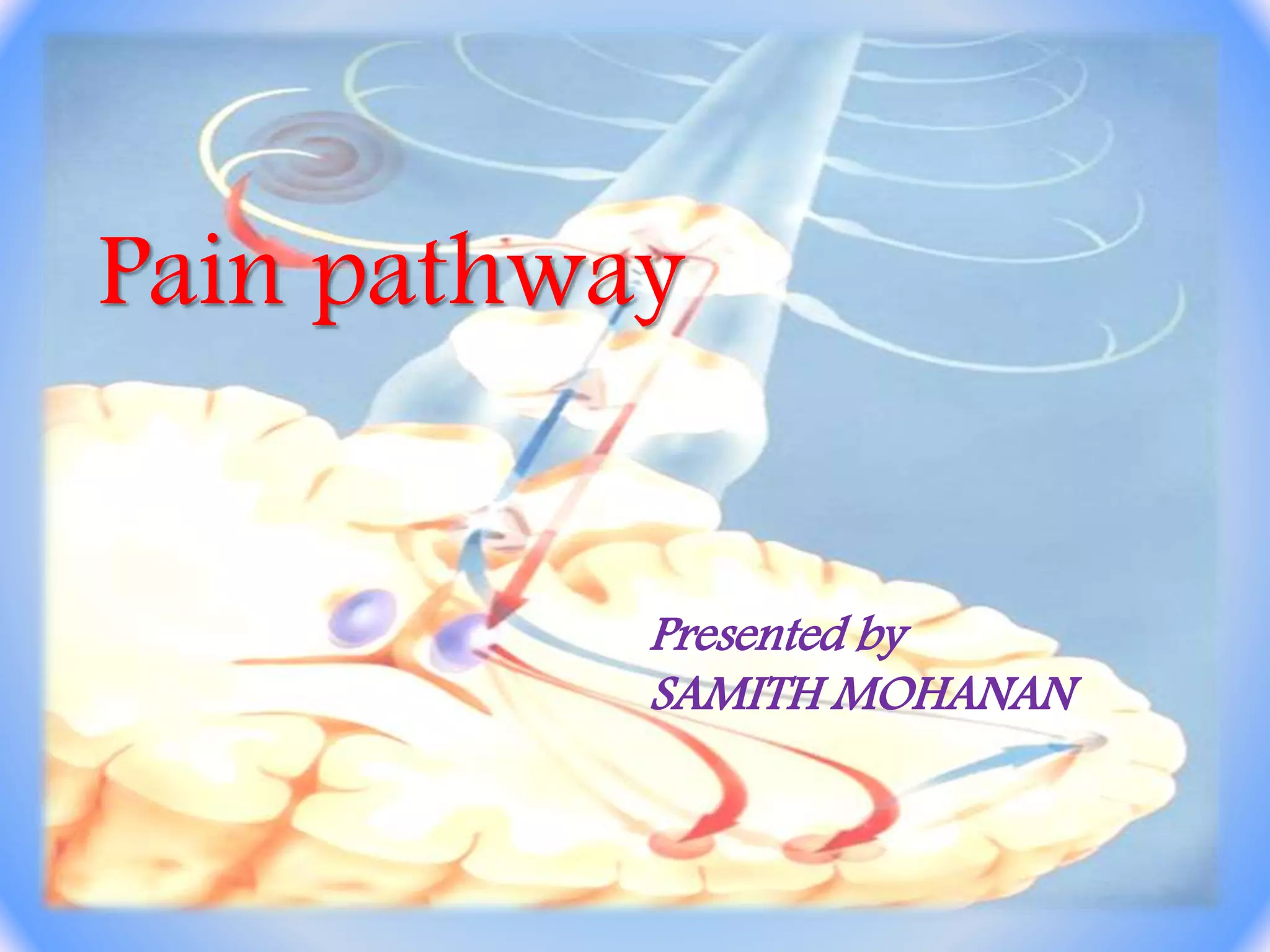 Pain pathway | PPTX
