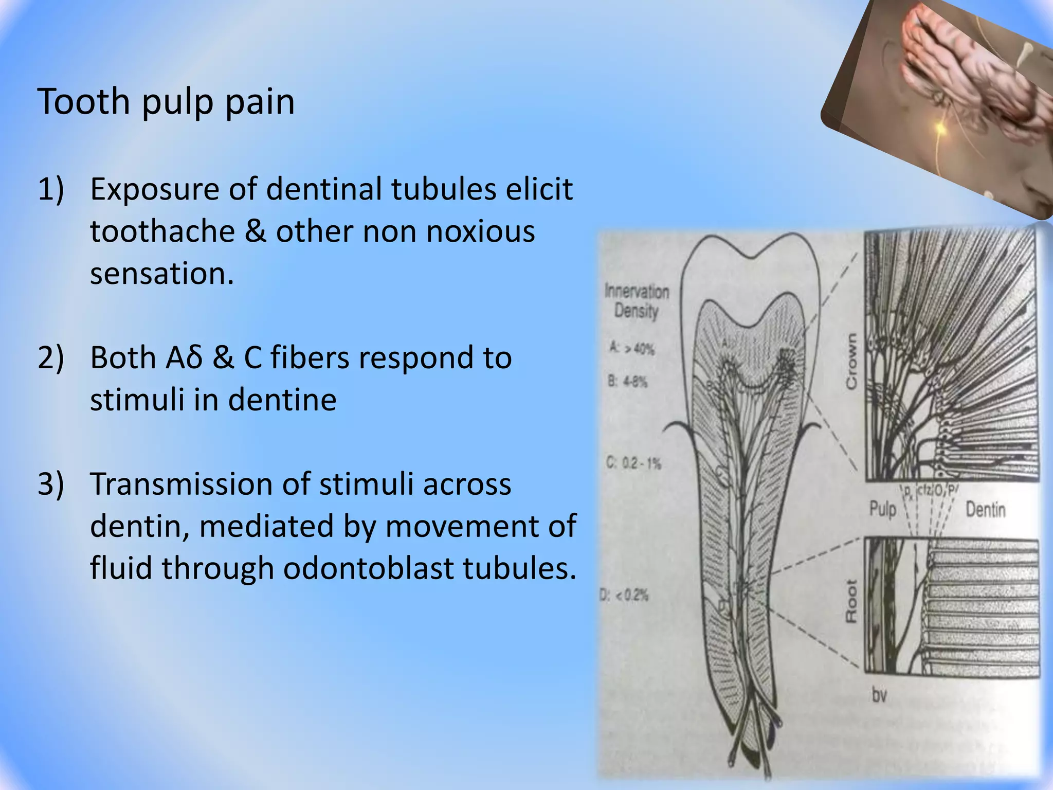 Pain pathway | PPTX